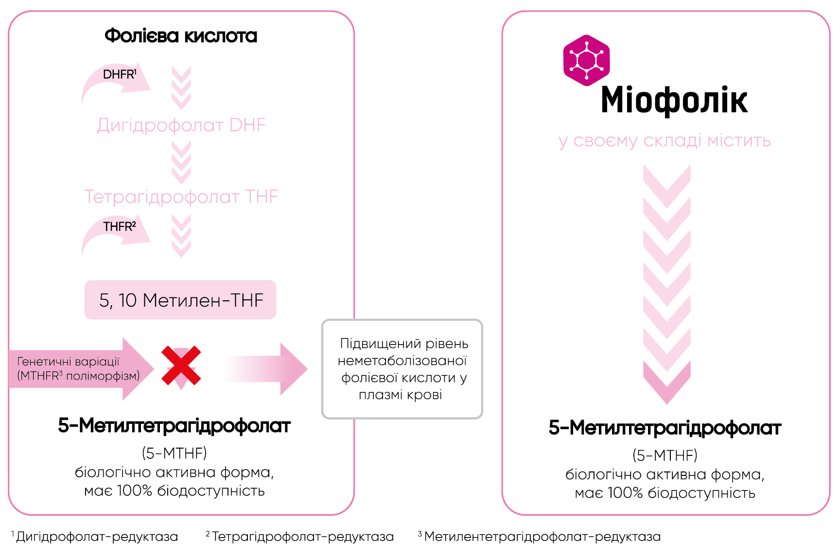 4th generation folic acid formulated into the Miofolic drug